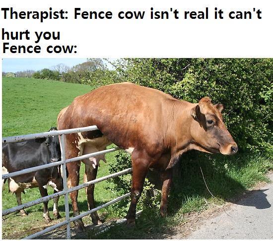 Gasp Skull Cow Isn t Real It Can t Hurt You Know Your Meme