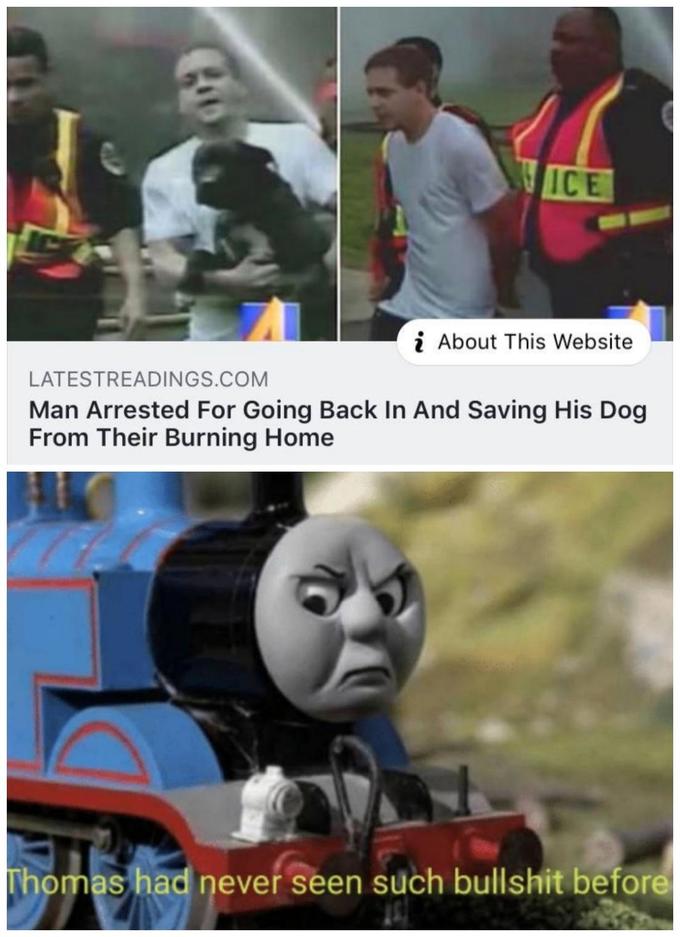 What The Frick R dankmemes Thomas Had Never Seen Such Bullshit 