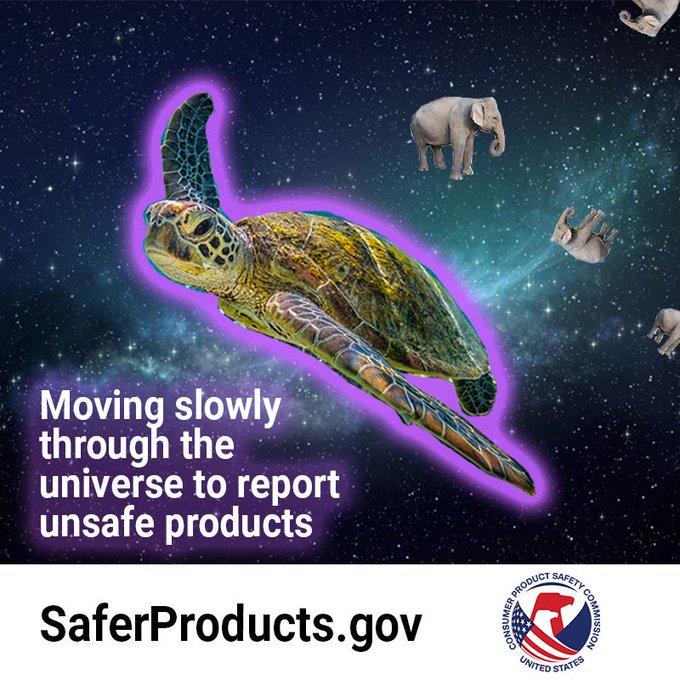 Unsafe Product Turtle | USCPSC Twitter | Know Your Meme