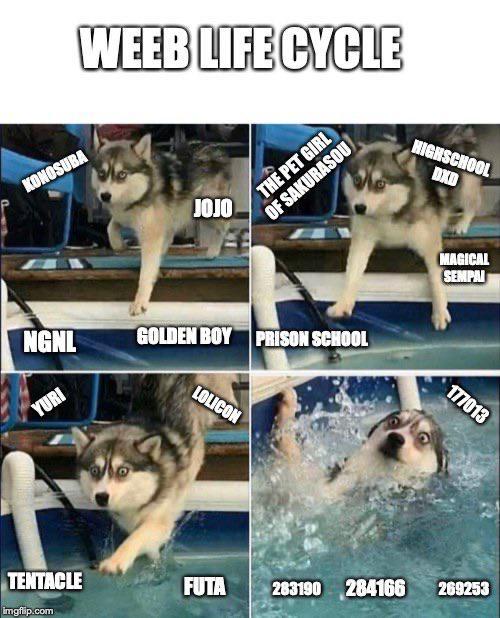 Roadmap for new weeb | r/Animemes | Know Your Meme