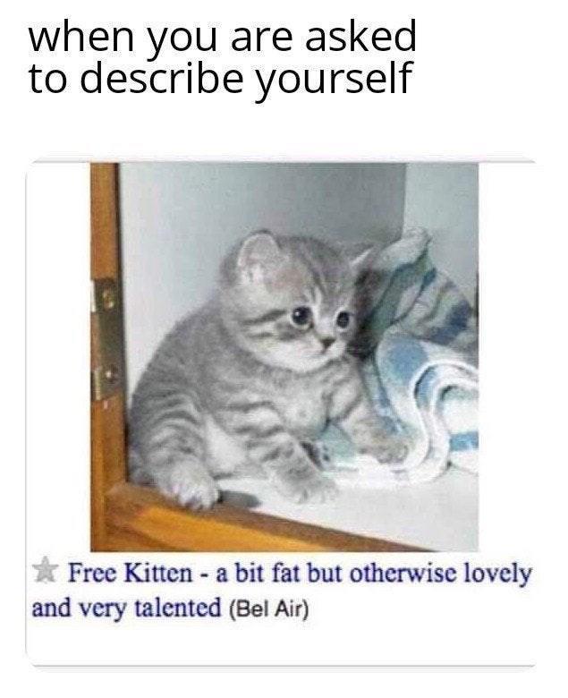 Sounds like the perfect deal | Cats | Know Your Meme