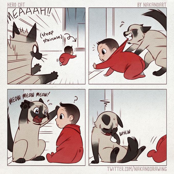 The littlest hero 🐾 | Cats | Know Your Meme