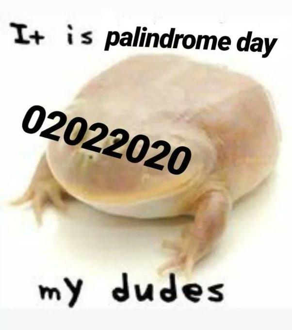 It is palindrome day my dudes | It Is Wednesday My Dudes | Know Your Meme