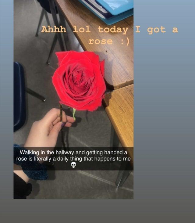 daily rose | Humblebrag | Know Your Meme
