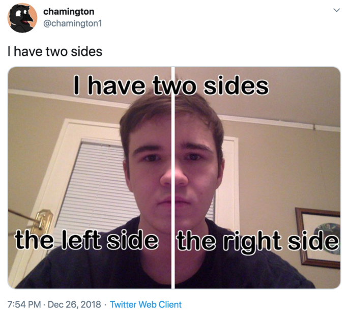 I Have Two Sides I Have Two Sides Know Your Meme