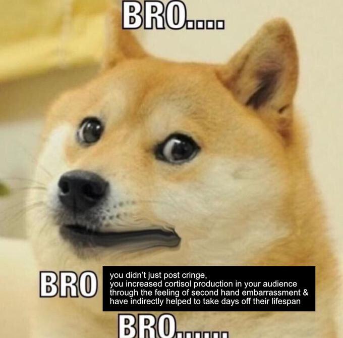 Bro... You didn't just post cringe | Ironic Doge Memes | Know Your Meme
