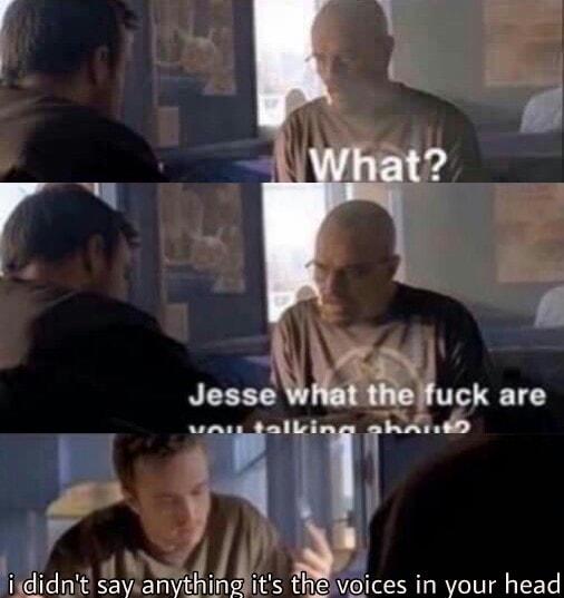Walter Has Voices In His Head Jesse What The Fuck Are You Talking 