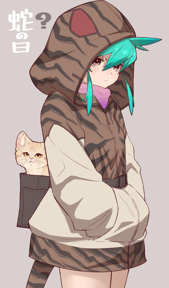 Tsuchinoko's journey | Kemono Friends | Know Your Meme