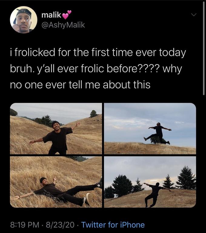 frolic | Wholesome Memes | Know Your Meme