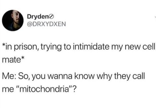 fear me no more | "Mitochondria is the Powerhouse of the Cell" | Know ...