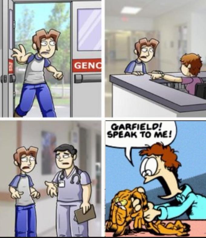 Deflated Garfield Meme #3 | Deflated Garfield | Know Your Meme