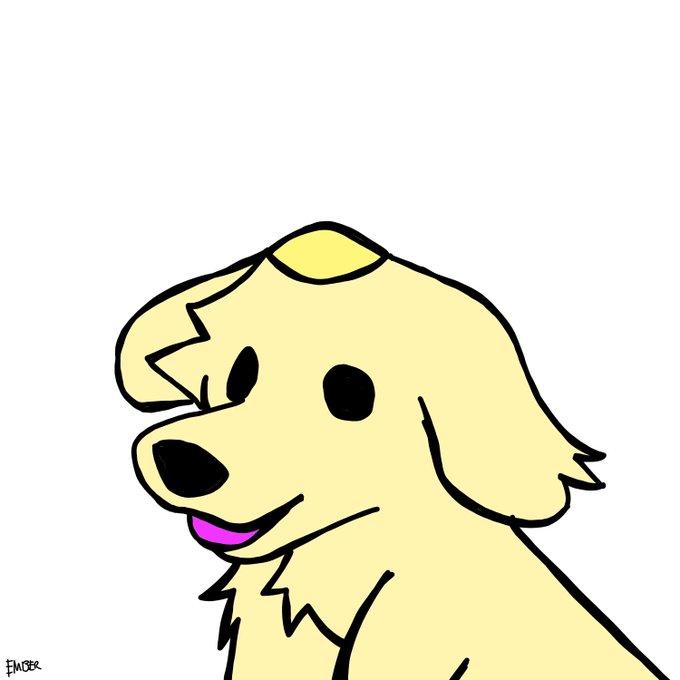 EmbersStudio Butterdog | Butterdog | Know Your Meme