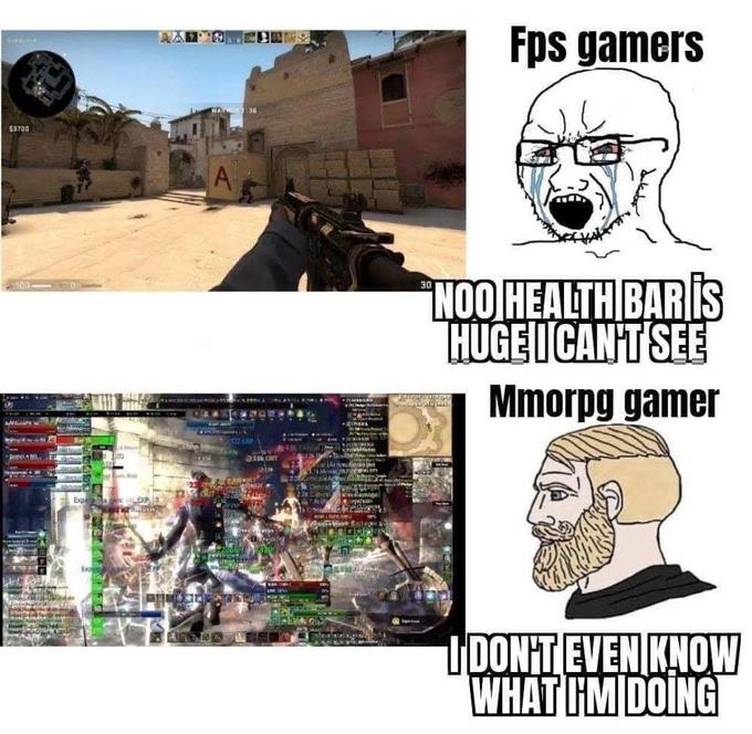 FPS Gamers vs. MMORPG Gamers | Soyjaks vs. Chads | Know Your Meme