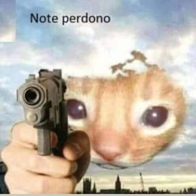 I don't forgive you | Me Perdonas? | Know Your Meme