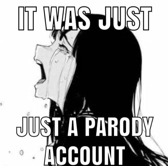 It Was Just a Parody Account | Crying Aya Asagiri | Know Your Meme