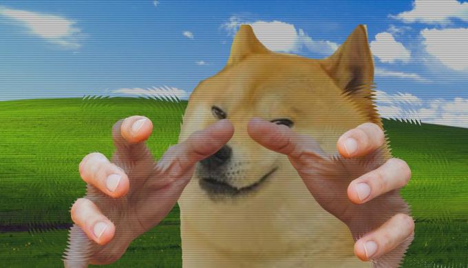 Doge Reaching Through The Screen | Ironic Doge Memes | Know Your Meme