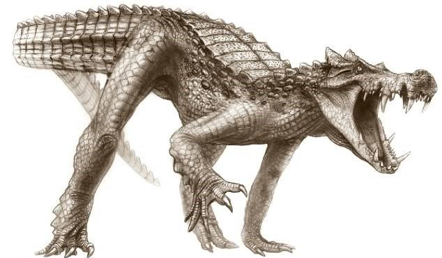 Kaprosuchus, the "Boar Croc" | Animals | Know Your Meme