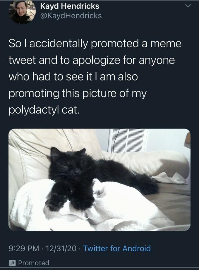 Promo17 | Know Your Meme