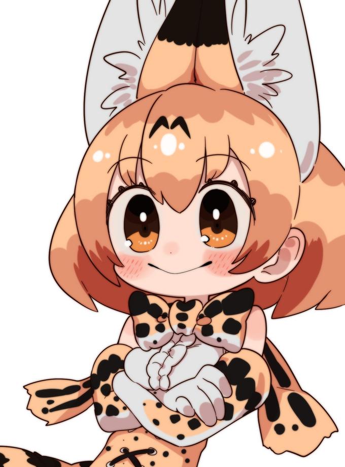 Watcha thinking? | Kemono Friends | Know Your Meme