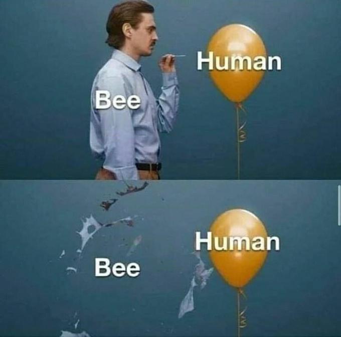 That doesn't stop them from stinging us though | Bees | Know Your Meme