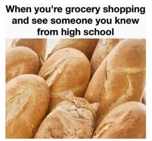 I is bread now | Cats | Know Your Meme