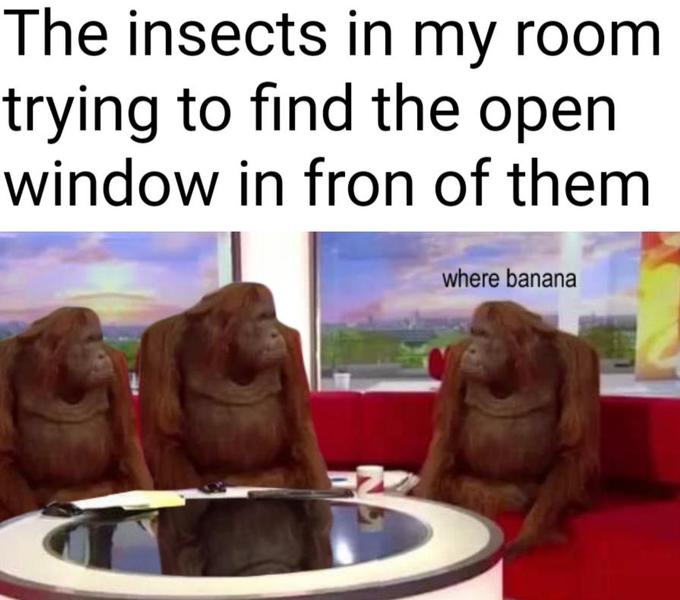 Where Banana Where Banana Know Your Meme