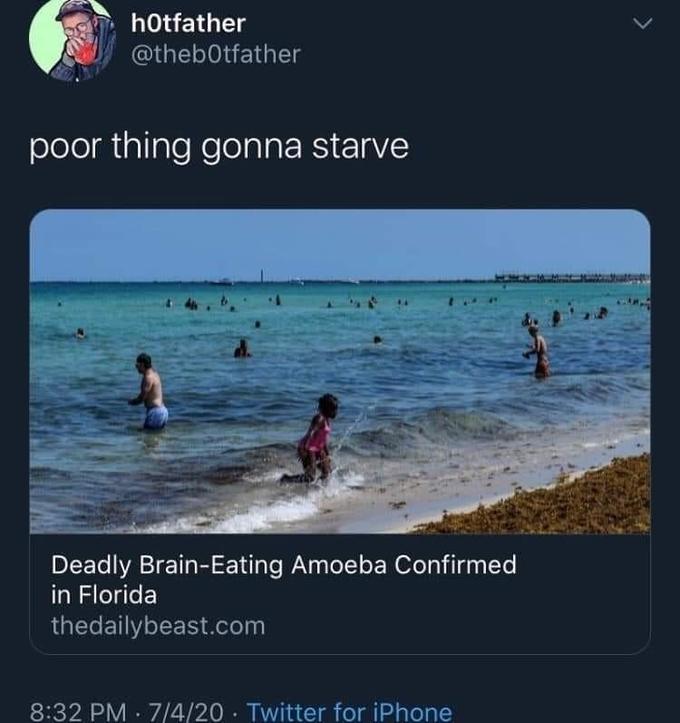 Will anybody think of the brain eating amoebas? | Florida Man | Know ...