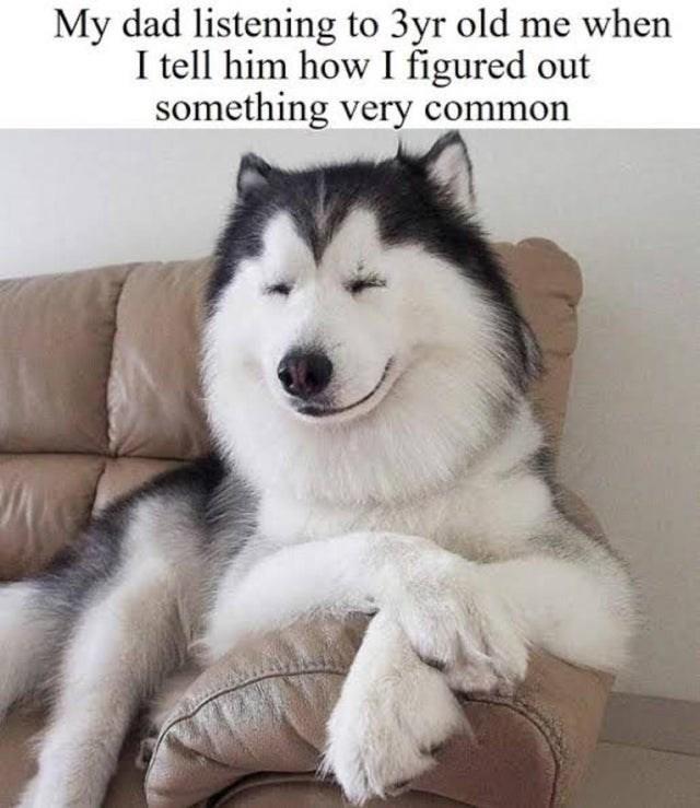 dog dad | Dogs | Know Your Meme