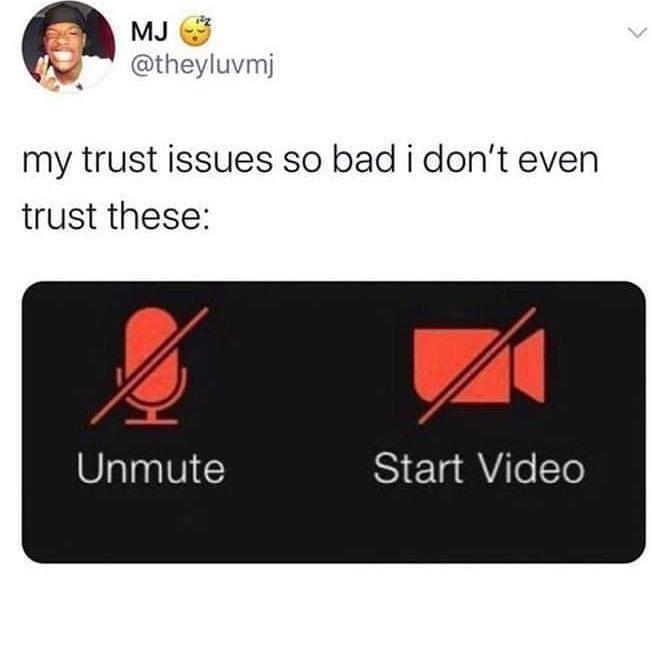 Trust issues | Zoom | Know Your Meme