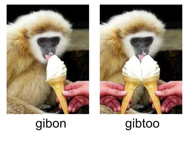 Gibbon | Pun | Know Your Meme