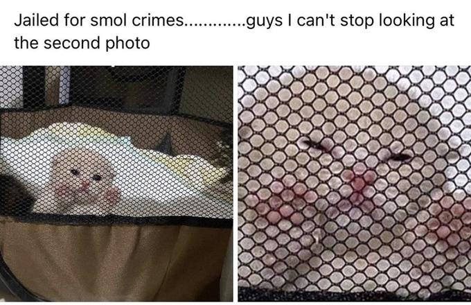 When he gets out he'll make us all pay | Smol | Know Your Meme