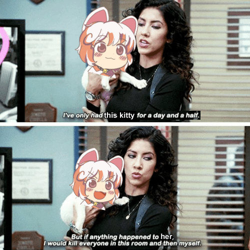 Basically about the kitty | I've Only Had Arlo For A Day And A Half ...