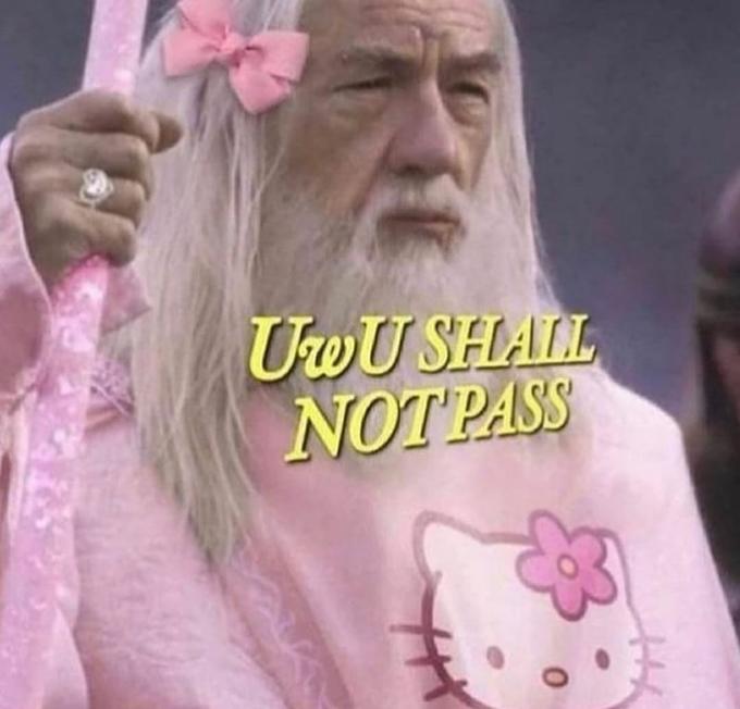 Gandalf the Pink | You Shall Not Pass!!! | Know Your Meme