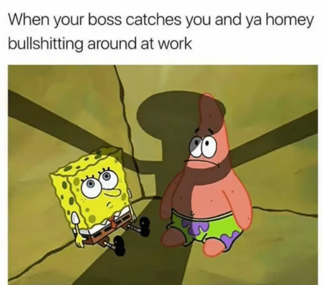 We were just quizzing each other on the company policy bossman | Know ...