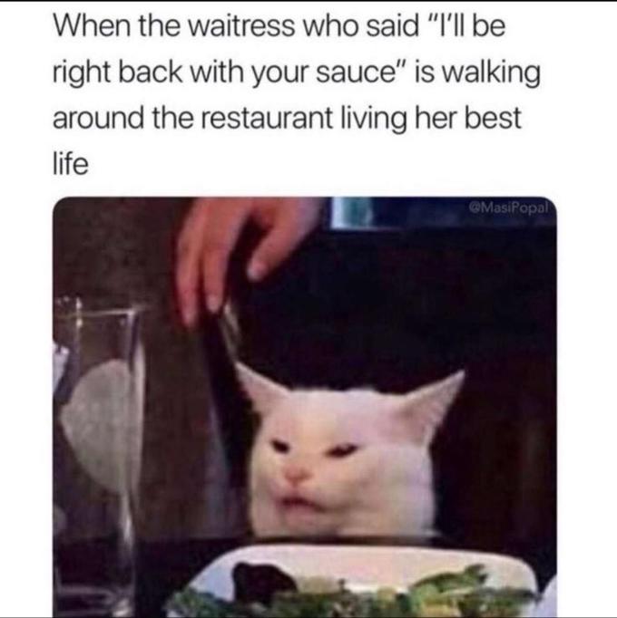 Trying to make eye contact and silently express my displeasure | Smudge ...