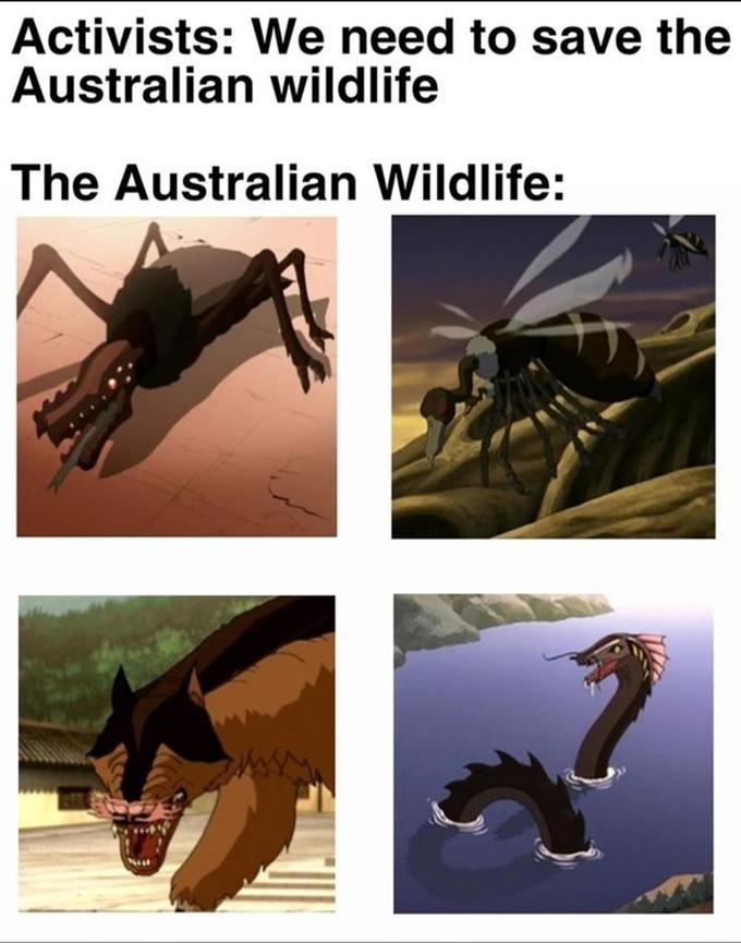 They look like they can take care of themselves | Australia | Know Your ...