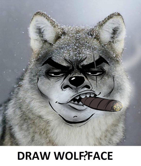 I did it by Jinx_doodle | Draw Wolf Face | Know Your Meme