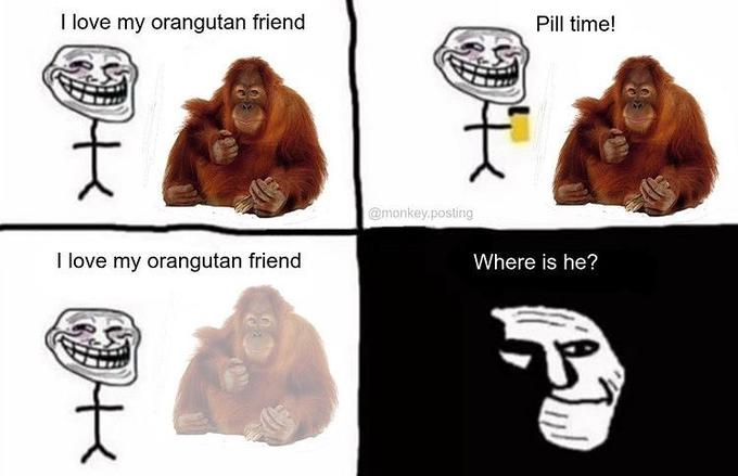 Schizoposting On The Rise Trollge Pill Time And I Hate The 