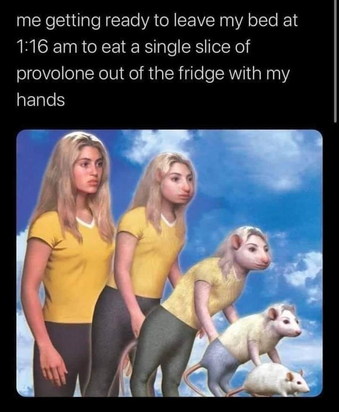 Rat life | Animorphs | Know Your Meme