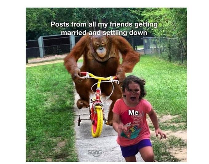 Wait you're all adults now? | Girl Running From a Peacock | Know Your Meme