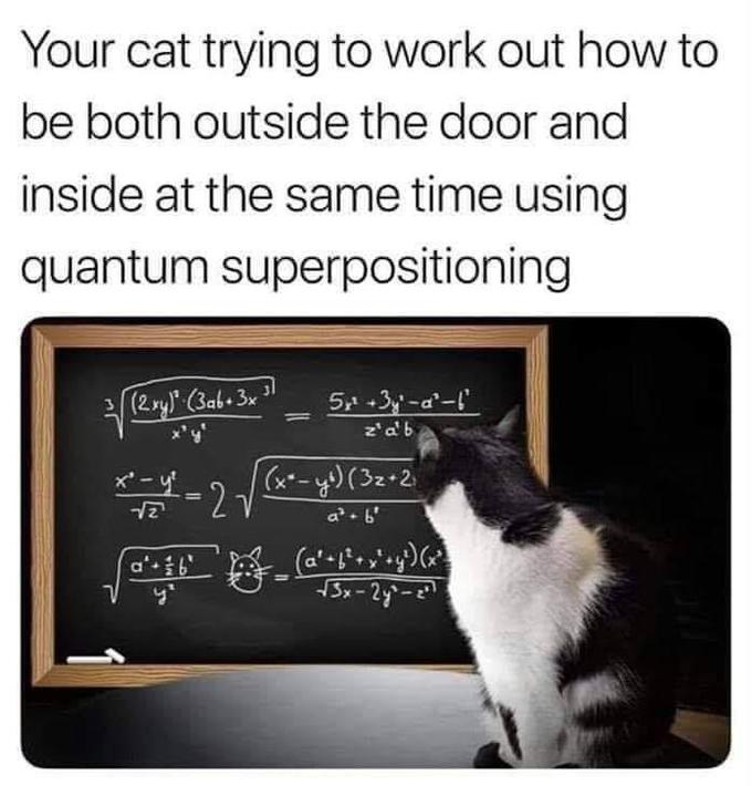 Schrodinger's cat or the cat's schrodinger? | Know Your Meme