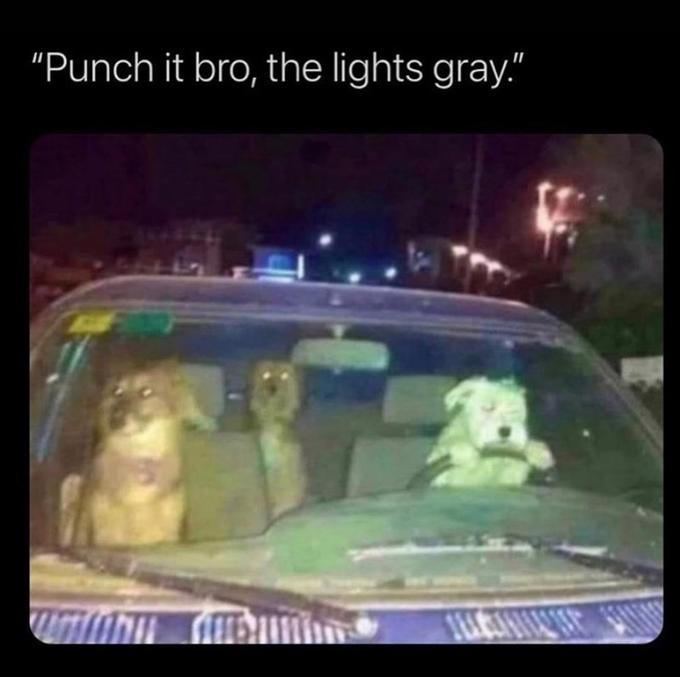 "come to think about it the light is always gray" | Know Your Meme