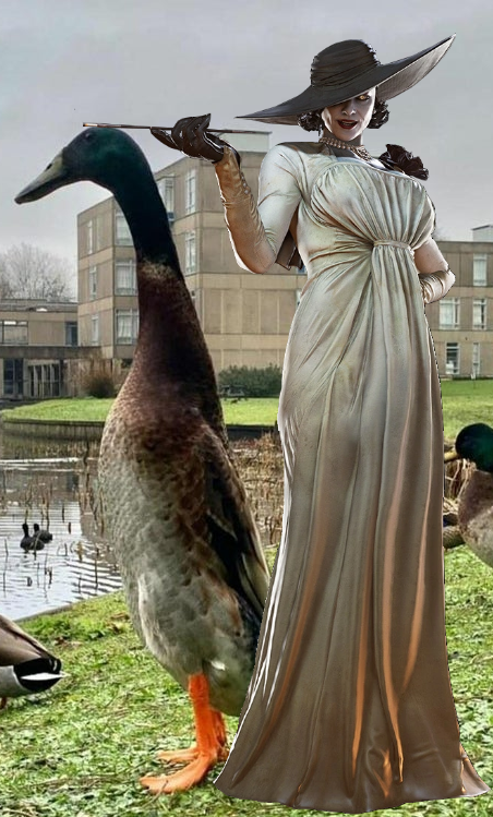 Lady and Duck | Long Boi (Duck) | Know Your Meme