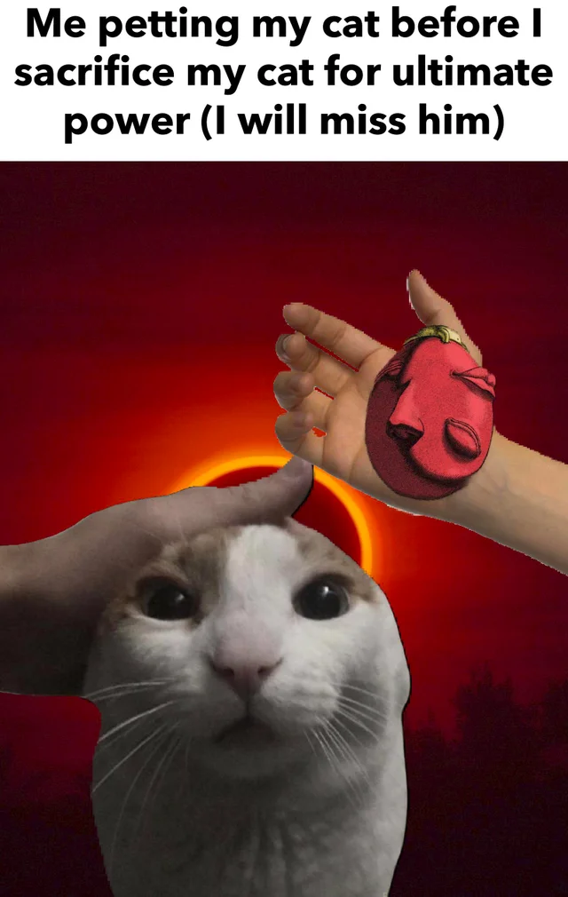 Me Petting My Cat Before I Sacrifice Him For Ultimate Power I Will Me Petting My Cat Before I Sacrifice Him For Ultimate Power I Will
