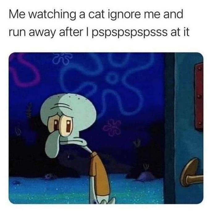 This is what heartbreak feels like | Pspspsps | Know Your Meme