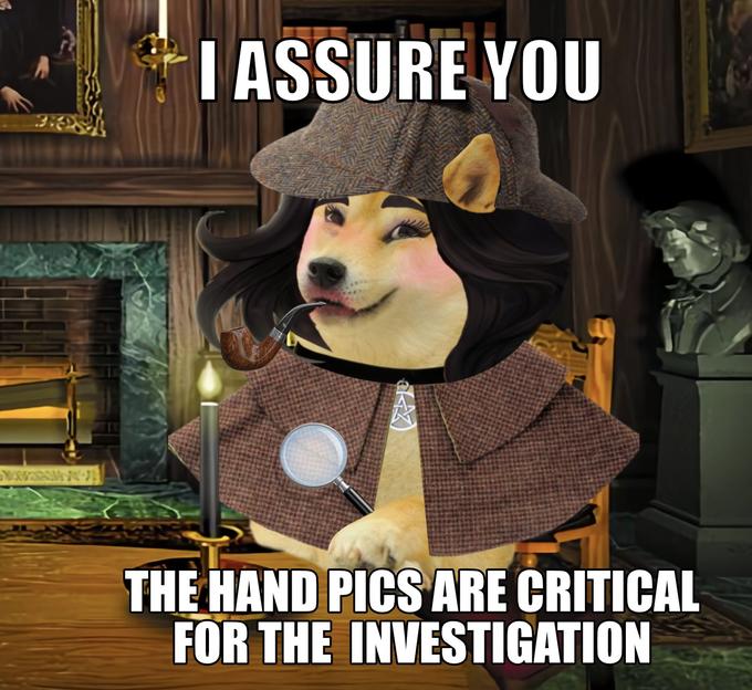 Woman doge hand fetish | Ironic Doge Memes | Know Your Meme