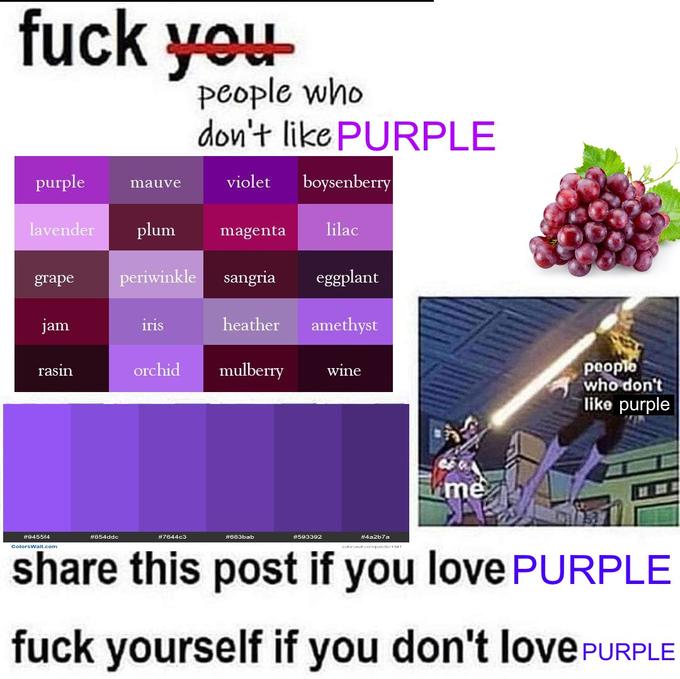 F--- People Who Don't Like Purple | Know Your Meme