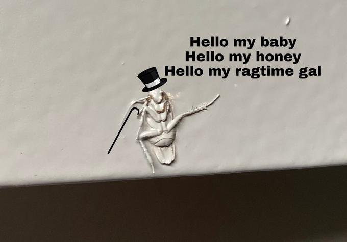 Hello My Baby, Hello My Honey | Painted-Over Cockroach | Know Your Meme
