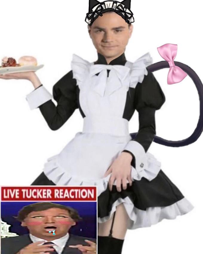 Live Tucker Reaction Template