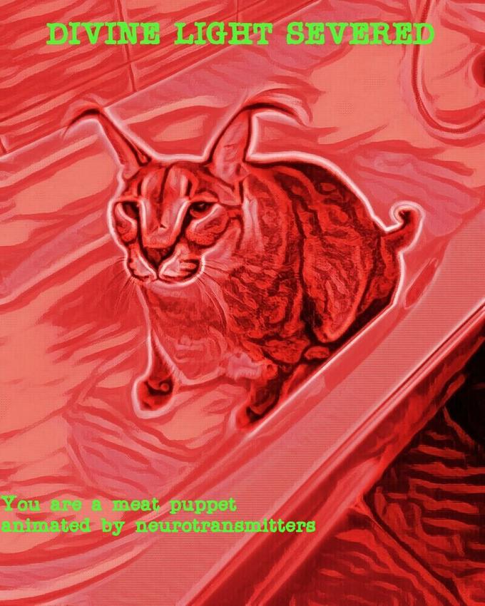 Floppa's Divine Light Severed | Divine Light Severed | Know Your Meme